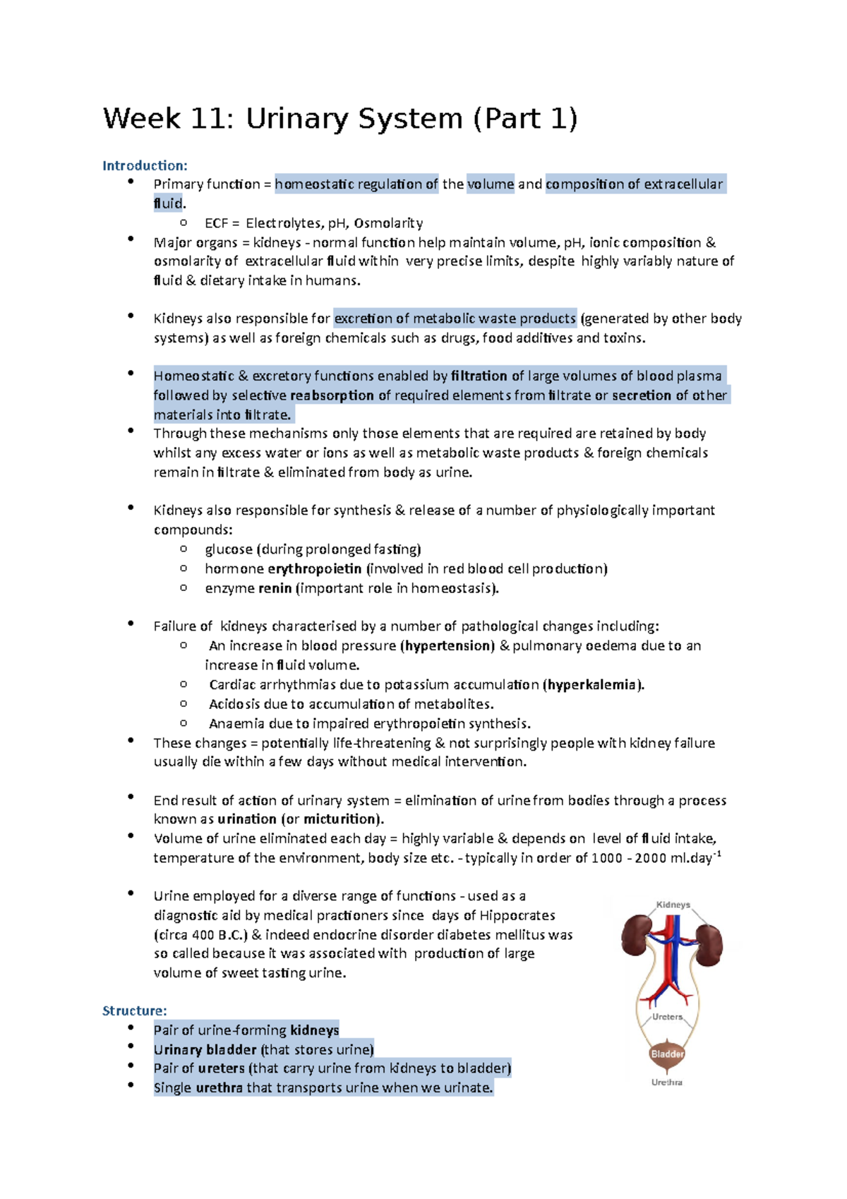 Week 11 - Urinary System - LQB488 - QUT - Studocu