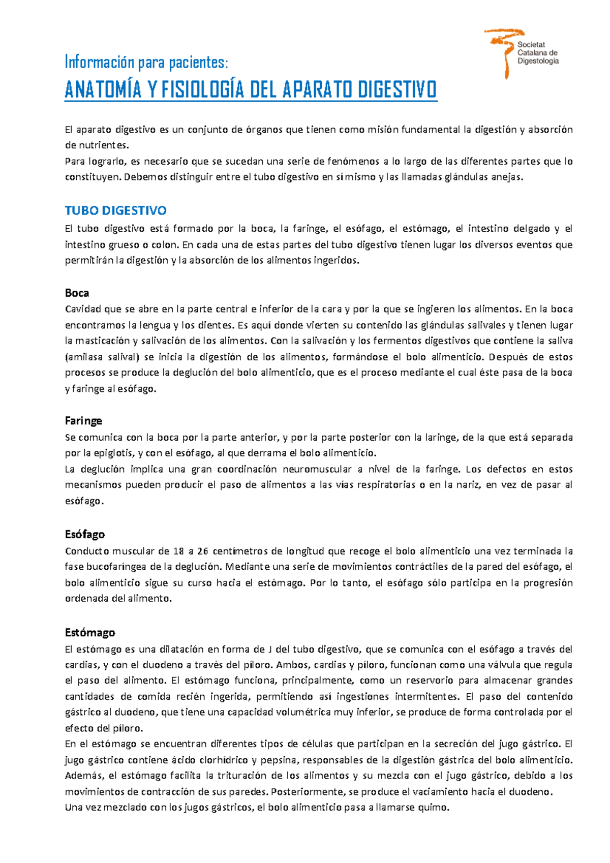 Anatomia fisio es - DFHGH - Información para pacientes: ANATOMÍA Y ...