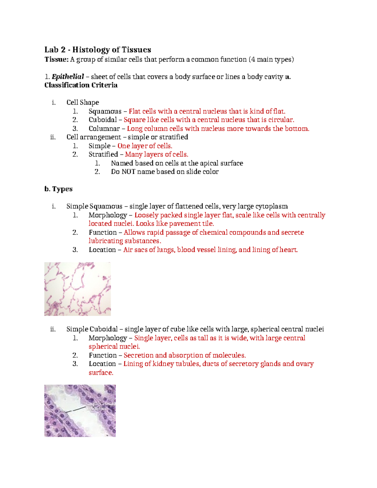 Histology Review - Lab 2 - Histology of Tissues Tissue: A group of ...