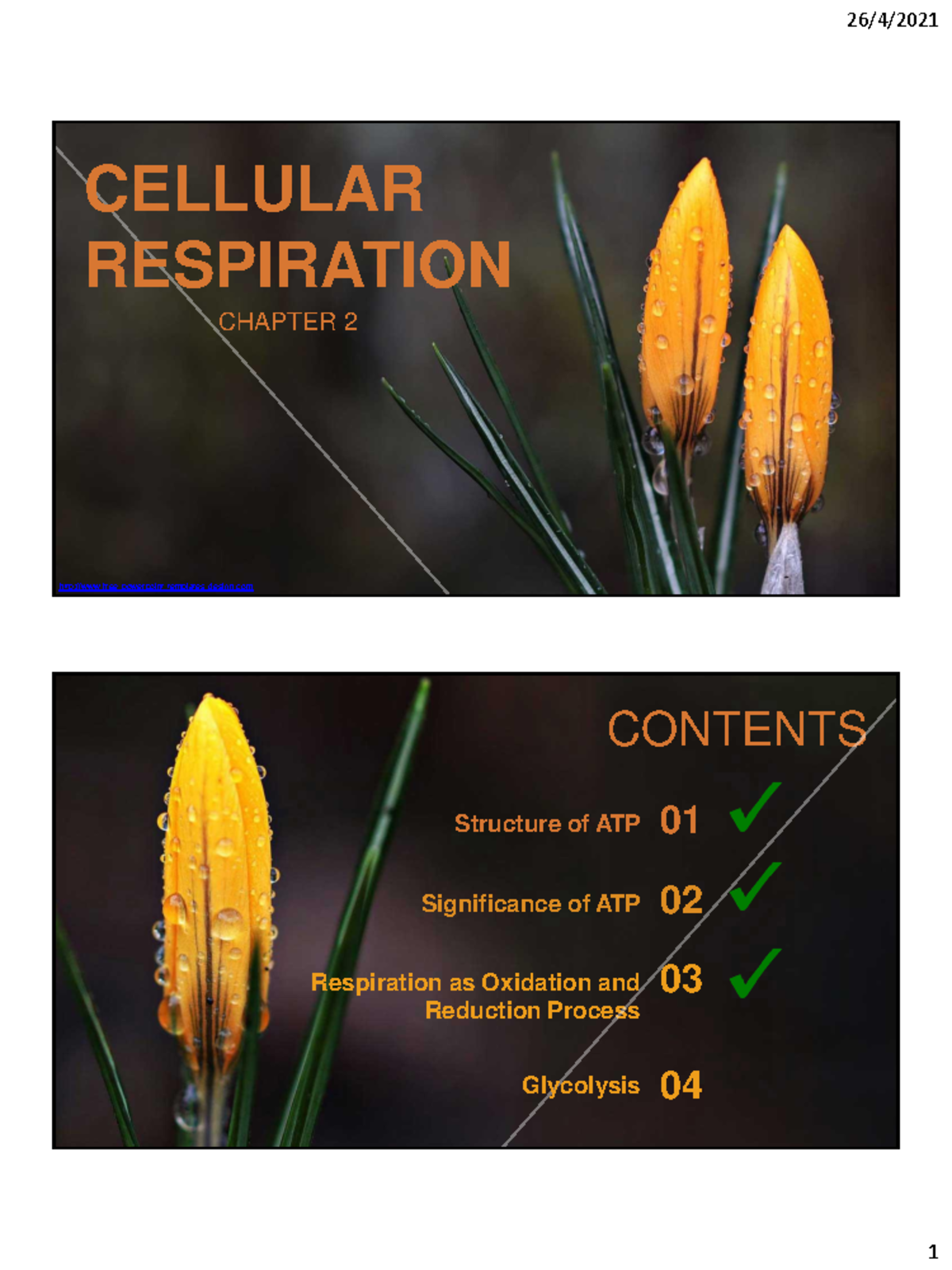 2.3 Cellular Respiration - free-powerpoint-templates-design CELLULAR ...