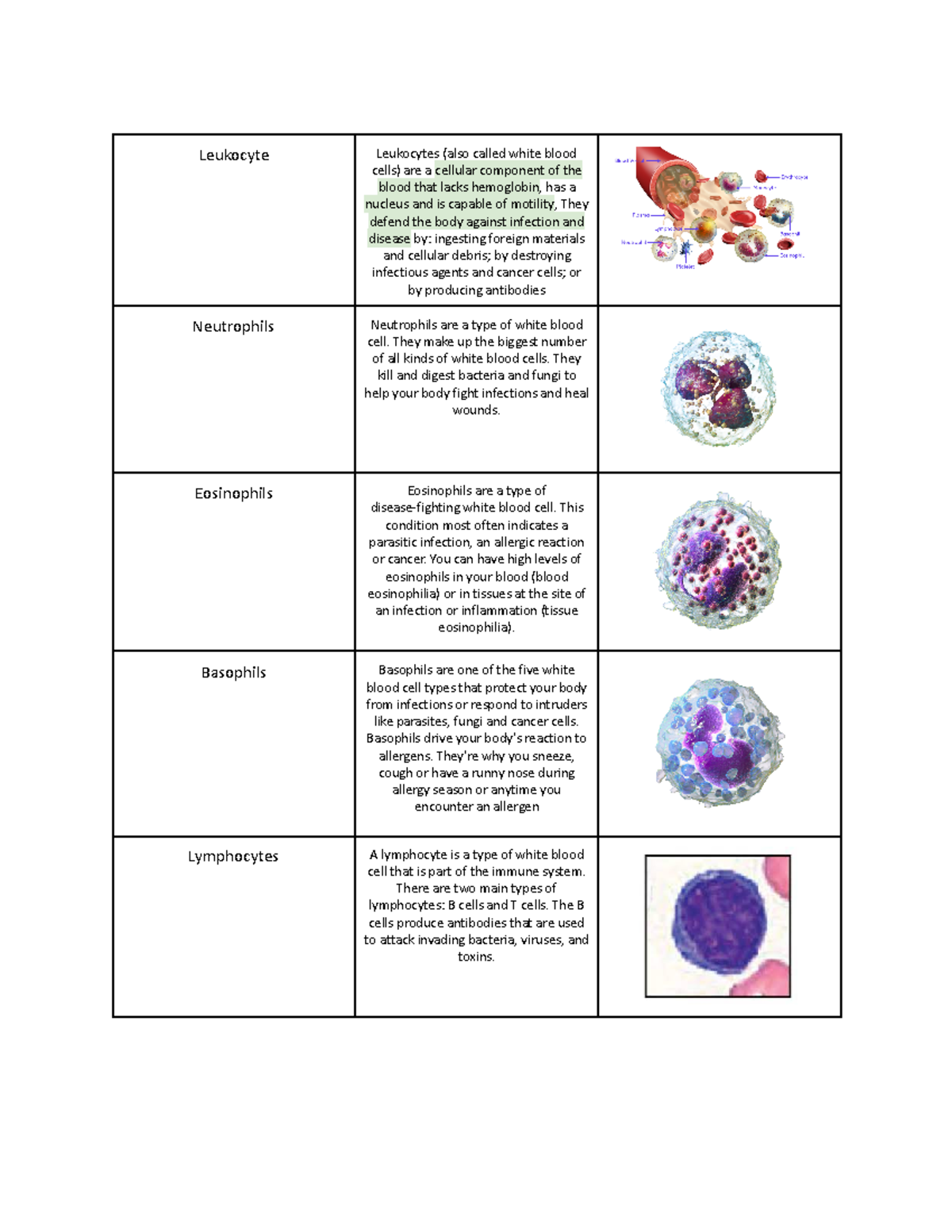 MED Glossary - nurs - Leukocyte Leukocytes (also called white blood ...