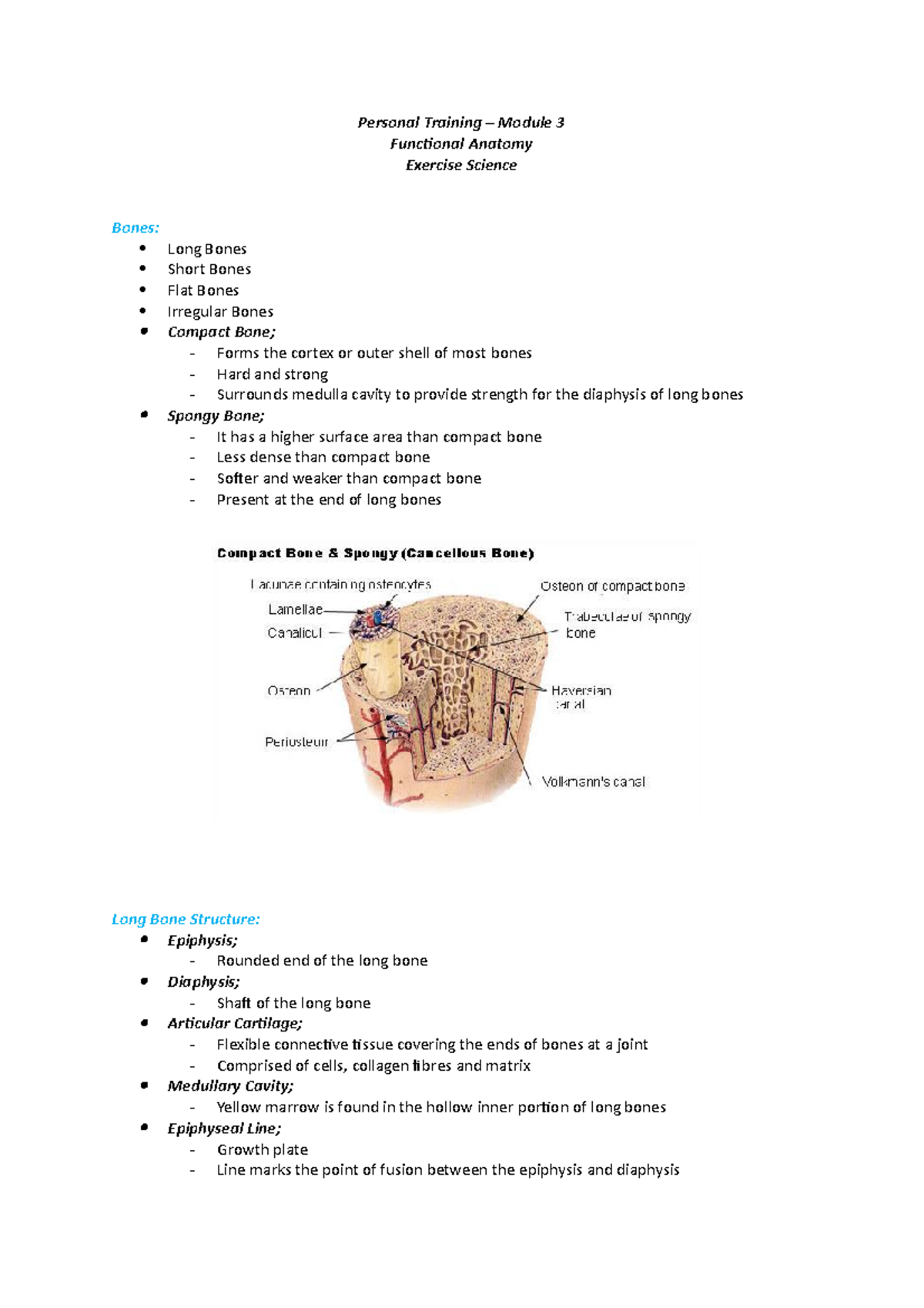 PT FA Bones - Personal Training – Module 3 Functional Anatomy Exercise ...