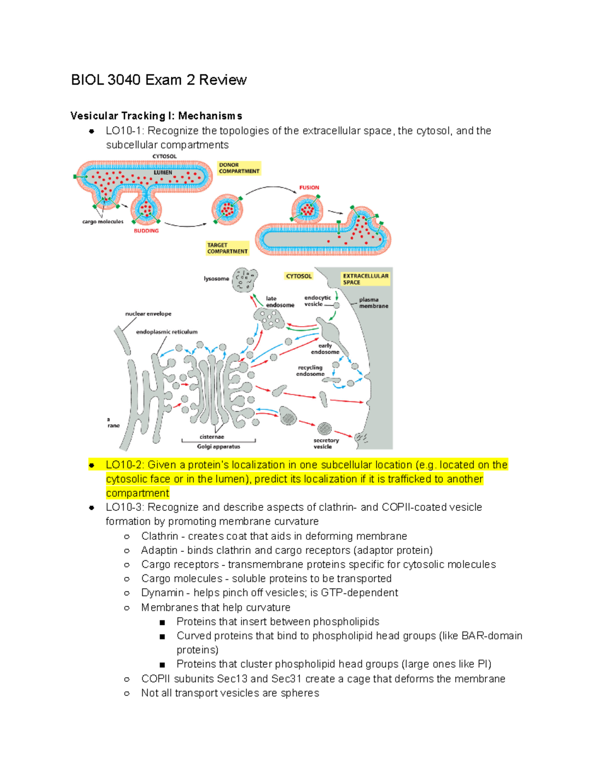 BIOL 304 0 Exam 2 Review - Summaries of objectives given in lecture ...
