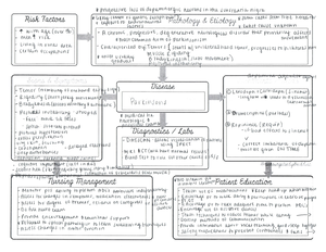 RSV: Bronchiolitis Peds Concept Map - NURS 2040 - Studocu
