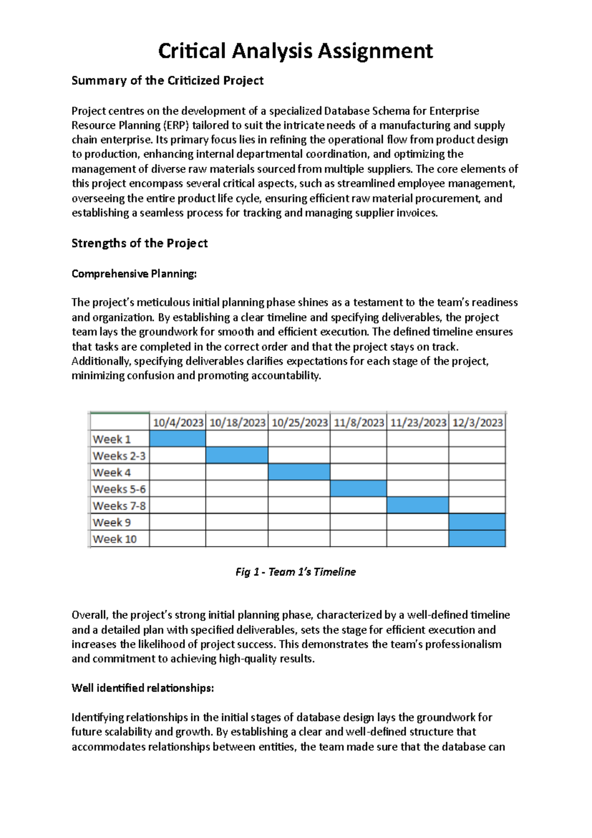 Critical Analysis Report - Summary of the Criticized Project Project ...