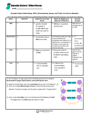 Meiosis Ameoba Sisters - AMOEBA SISTERS: VIDEO RECAP MEIOSIS Amoeba Sisters Video Recap of ...