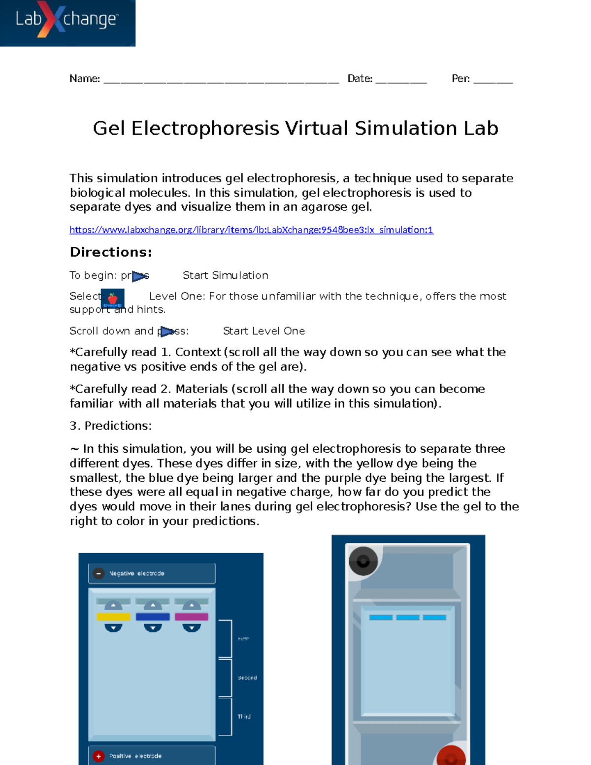Gel Electrophoresis Simulation Virtual Lab - Name