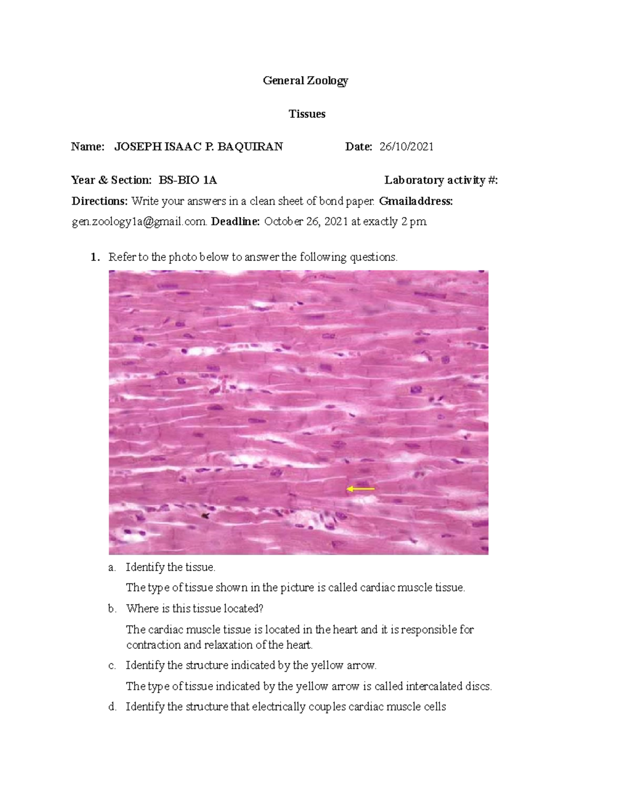 laboratory activity about tissue - General Zoology Tissues Name: JOSEPH ...