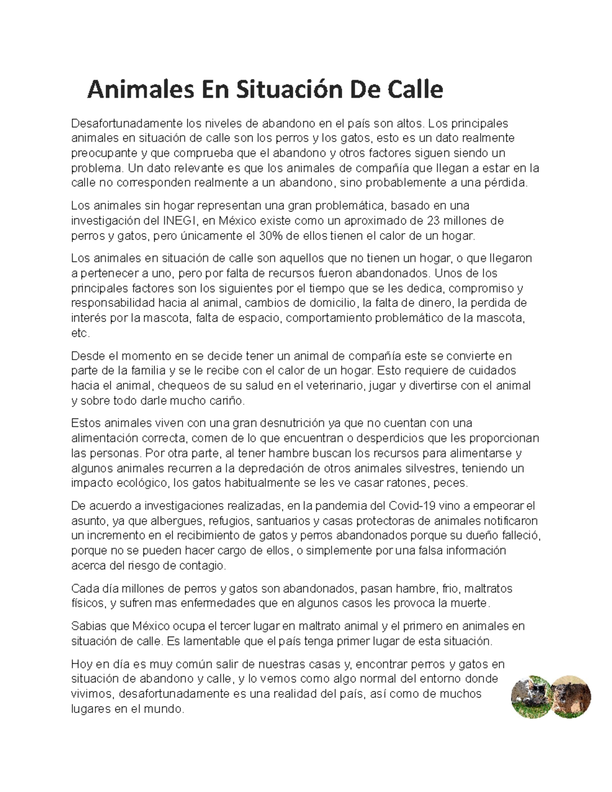 Animales En Situación De Calle - Animales En Situación De Calle ...