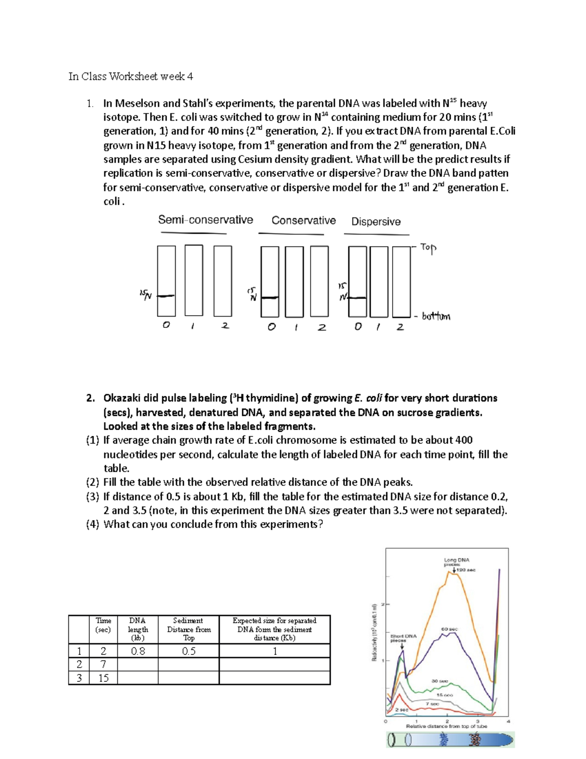 In Class Worksheet week 4 DNA and cell - BIOL 3110 - Yorku - Studocu
