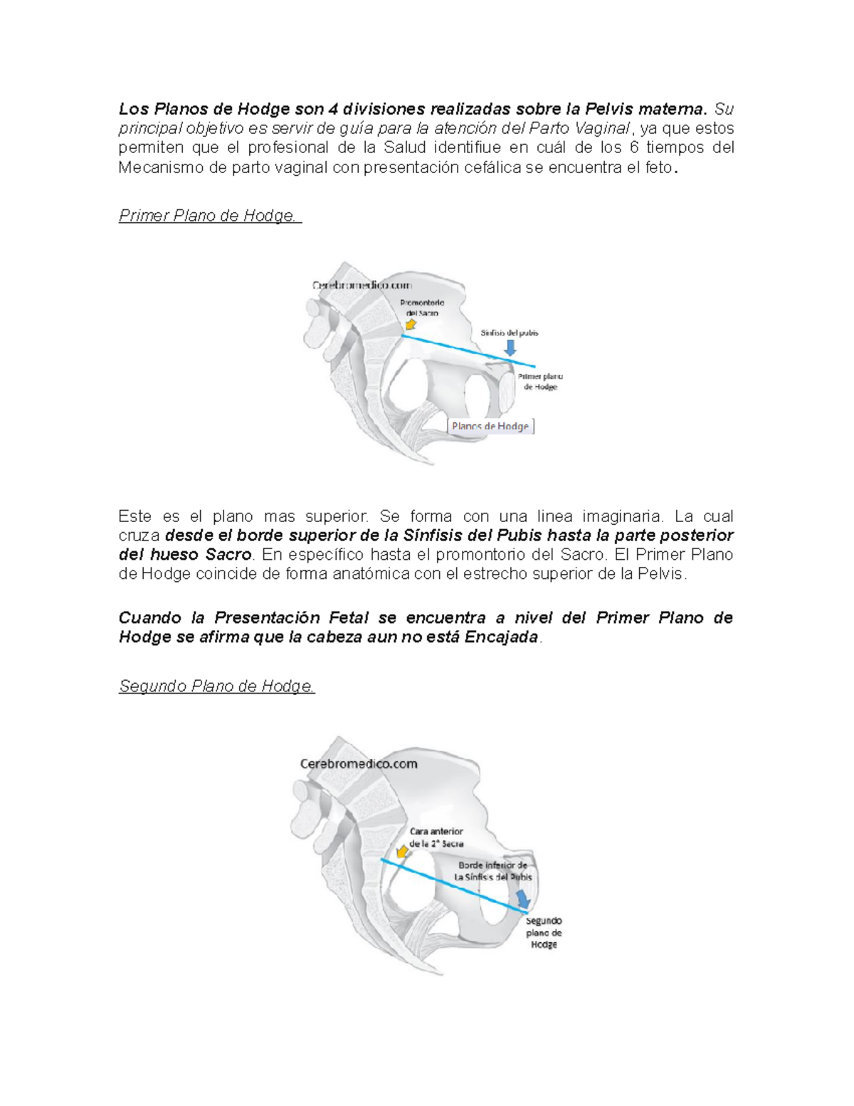 Planos DE Hodge - Los Planos de Hodge son 4 divisiones realizadas sobre ...