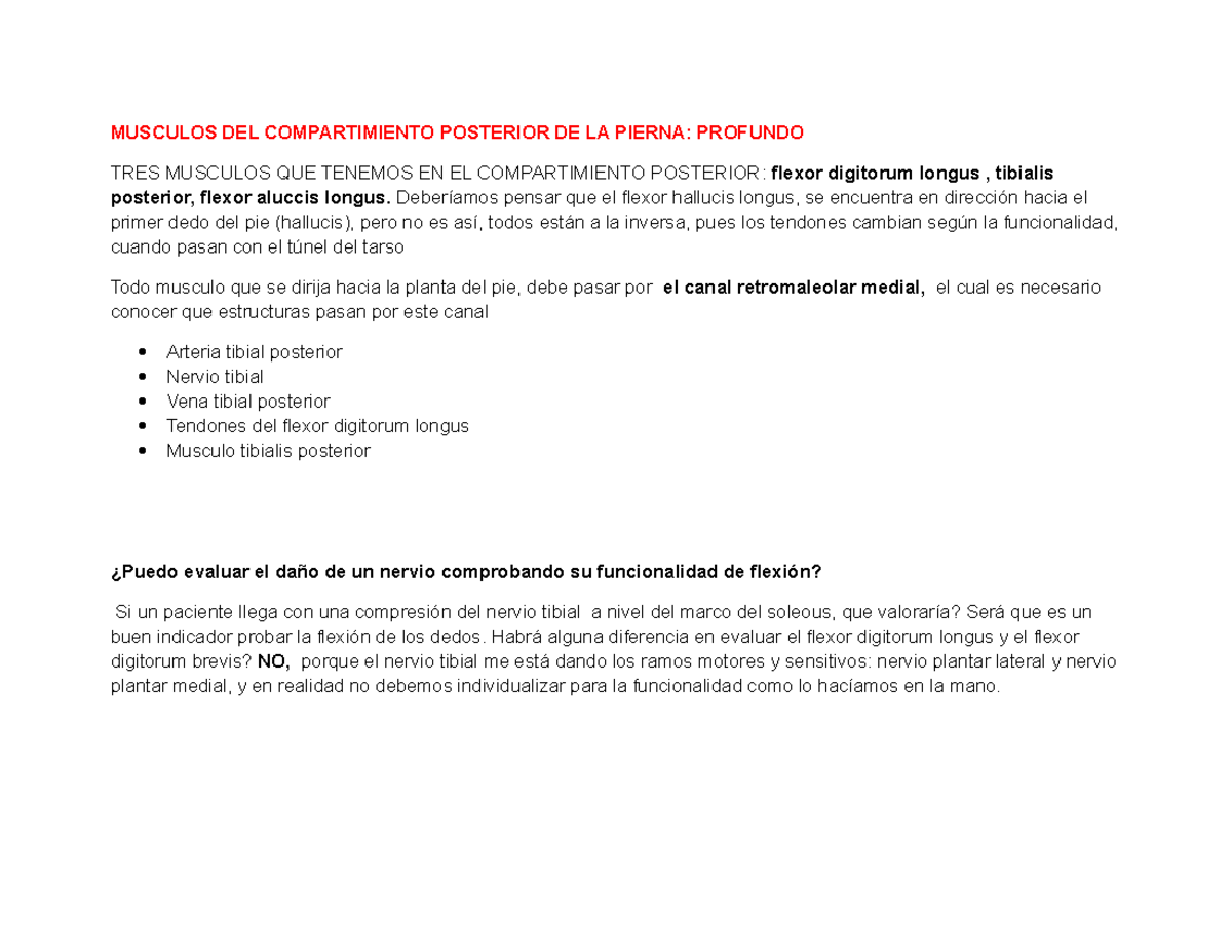 Musculos DEL Compartimiento Posterior DE LA Pierna Y Musculos DEL PIE ...