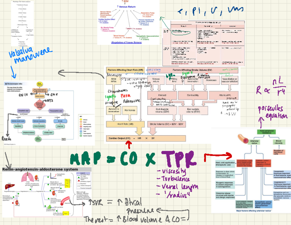 Untitled (10) - formula of heart equation with common factors affecting ...