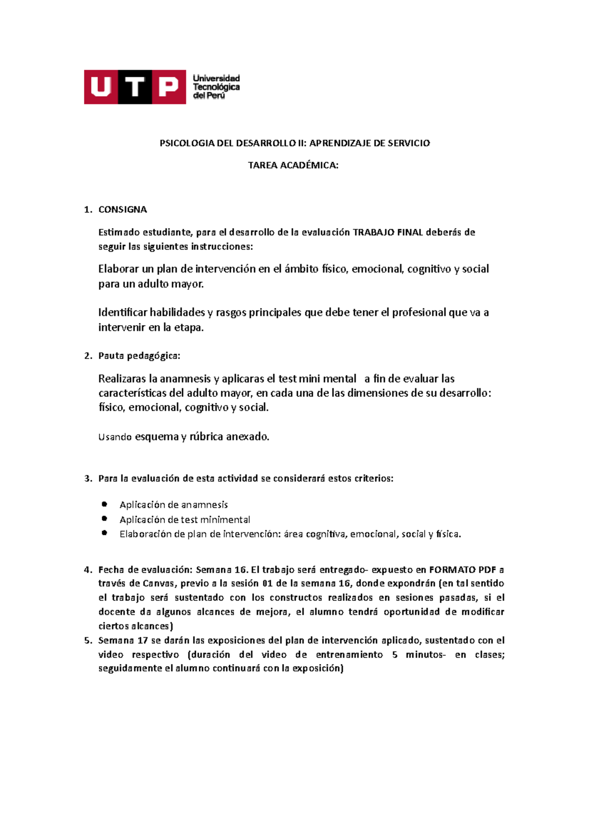 S16.s1- Lineamientos para la Trabajo Final - PSICOLOGIA DEL DESARROLLO II: APRENDIZAJE DE ...