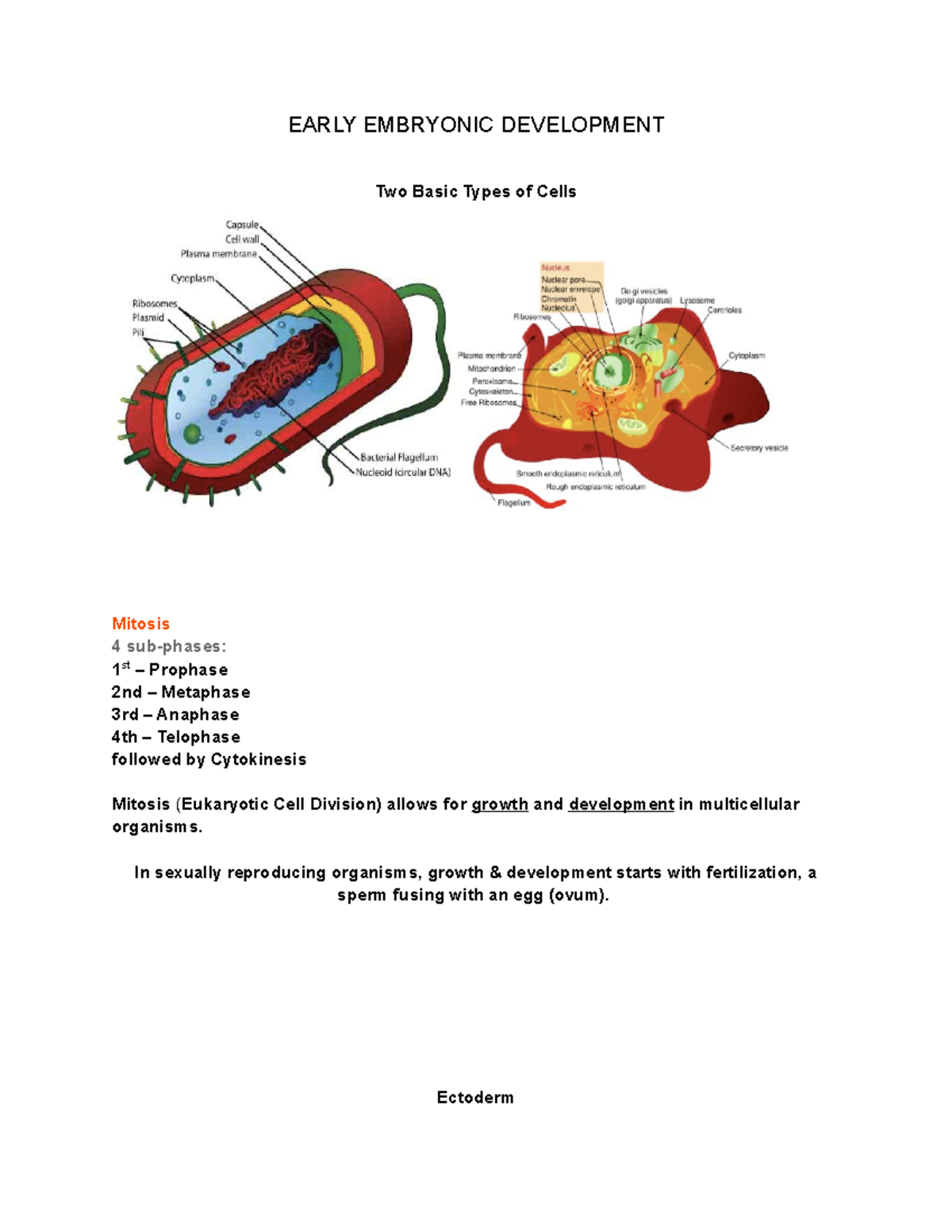 General Biology Notes 5 Early Embryonic Development - EARLY EMBRYONIC ...