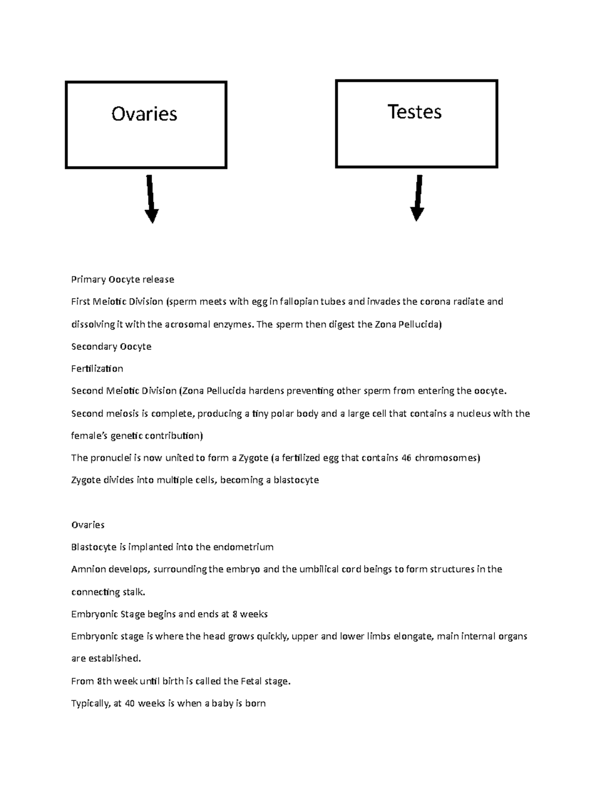 Flowchart - CHART - Primary Oocyte release First Meiotic Division ...