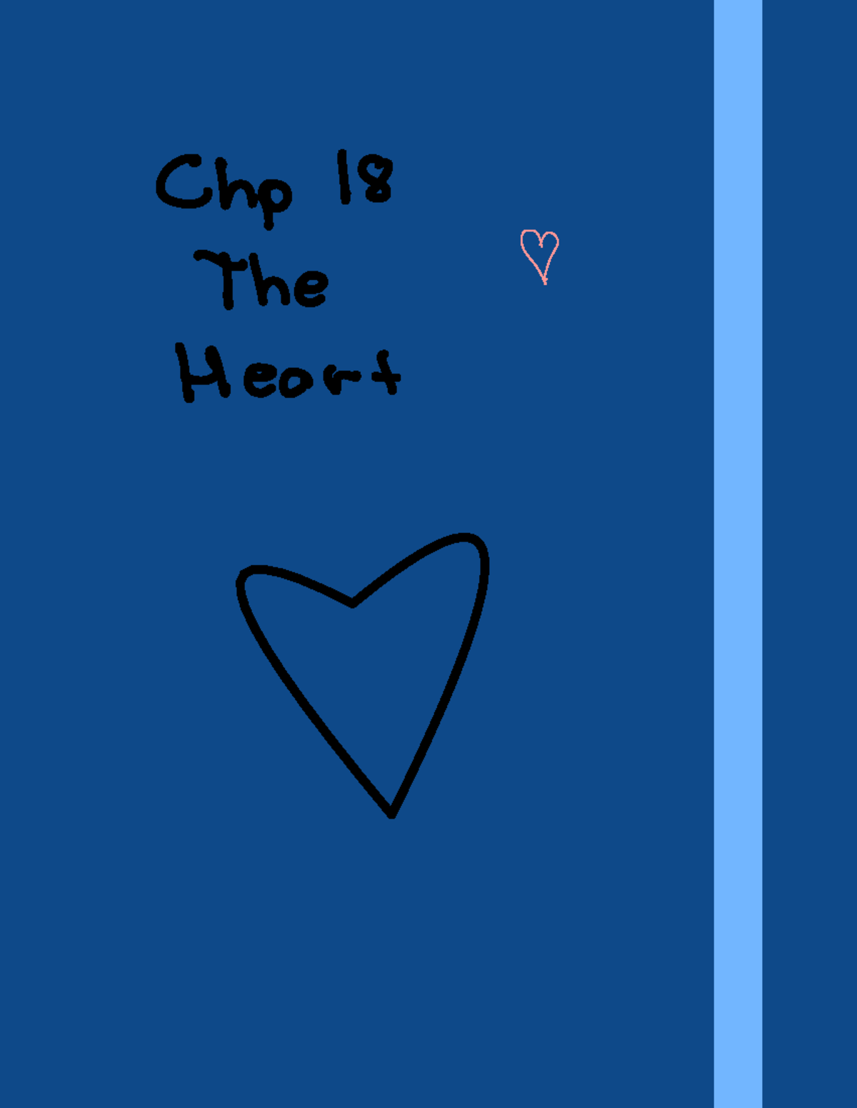 Chapter 18 - Heart - notes - Chp The Heart Chp The Heart Superior on ...