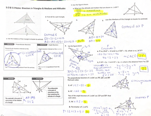 Notes - study guides - Studocu
