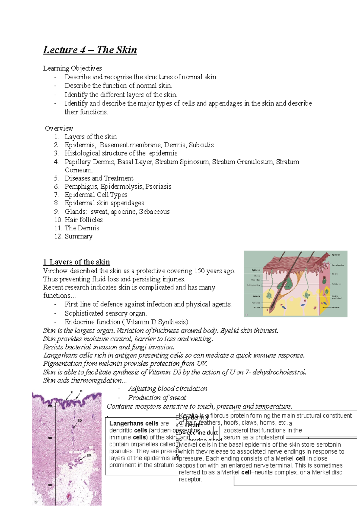 Lecture 4- The skin - Lecture 4 – The Skin Learning Objectives ...