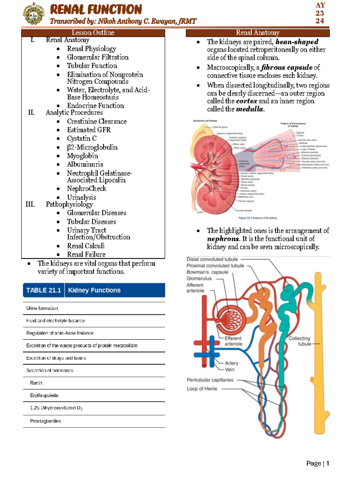 Renal Function - RENAL FUNCTION Transcribed by: Nikoh Anthony C. Ewayan ...