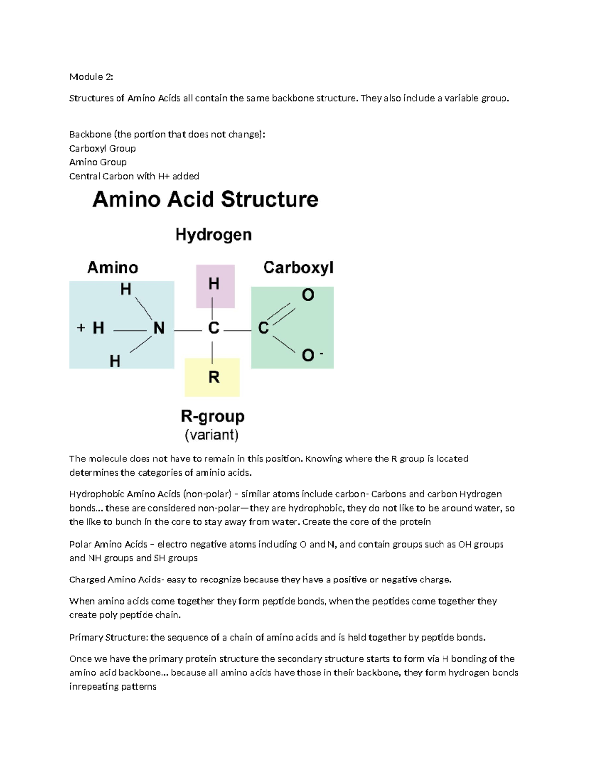 Biochem Notes - Module 2: Structures of Amino Acids all contain the ...