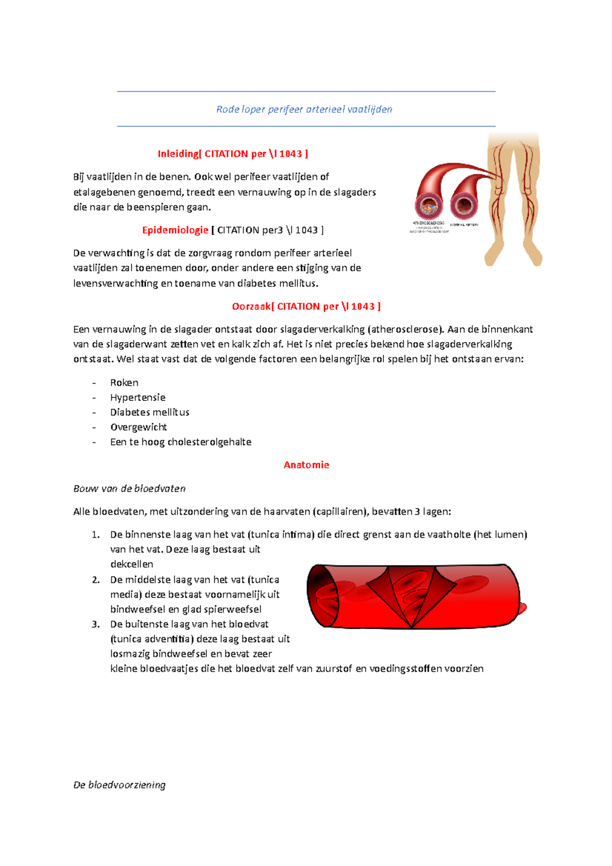 Rode loper perifeer arterieel vaatlijden - Rode loper perifeer ...