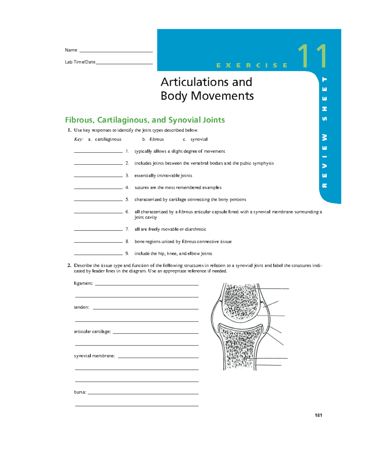 Ex 11 - Lab assignment - 181 Name ____________________________________ Lab Time/Date - Studocu