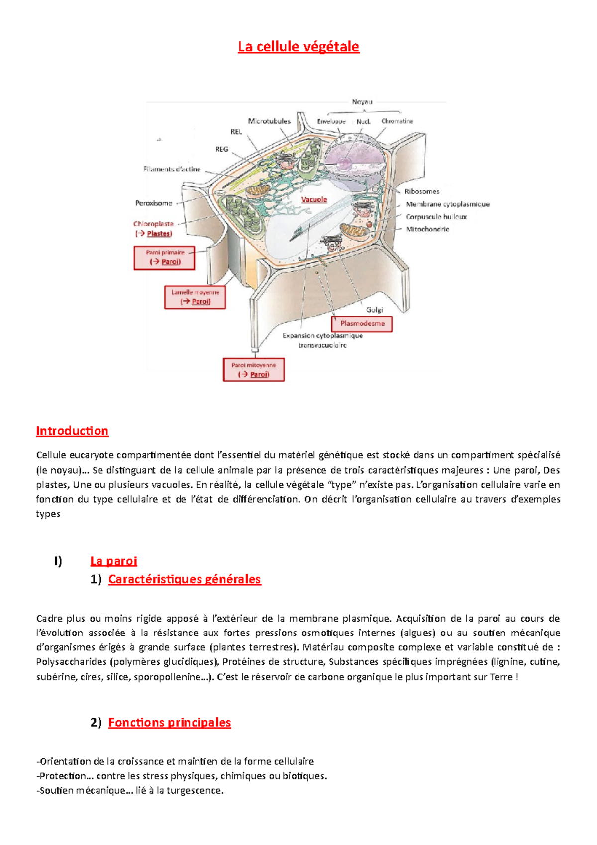 La cellule végétale - note de cours - La cellule végétale Introduction ...