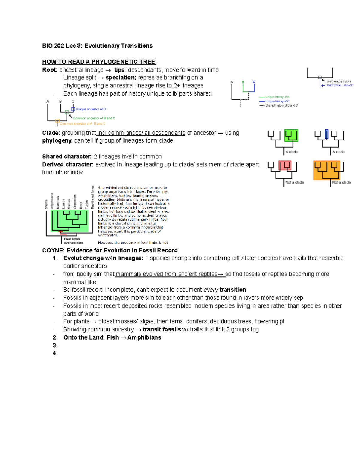 BIO 202 Lec 3 Evolutionary Transitions - BIO 202 Lec 3: Evolutionary Transitions HOW TO READ A ...