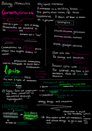 Unit 1- intro to biology final exam study guide Flashcards Quizlet ...