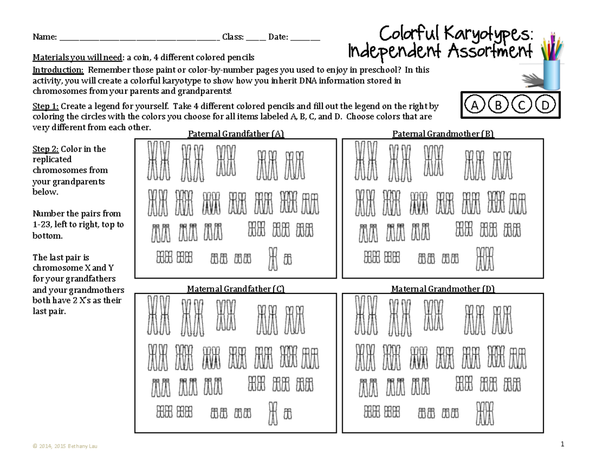 Color Your Own Karyotype Assignment - Introduction: Remember those ...