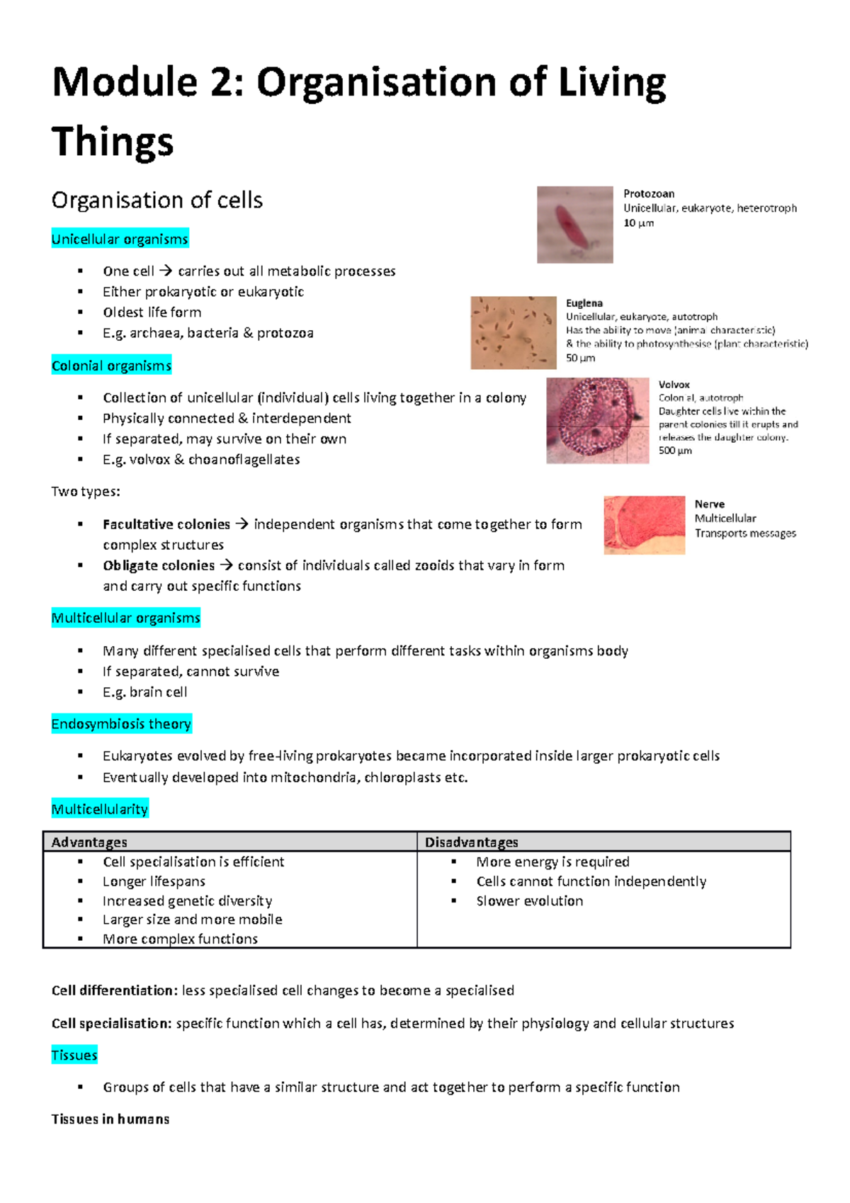 Organisation of living things study notes - Module 2: Organisation of ...