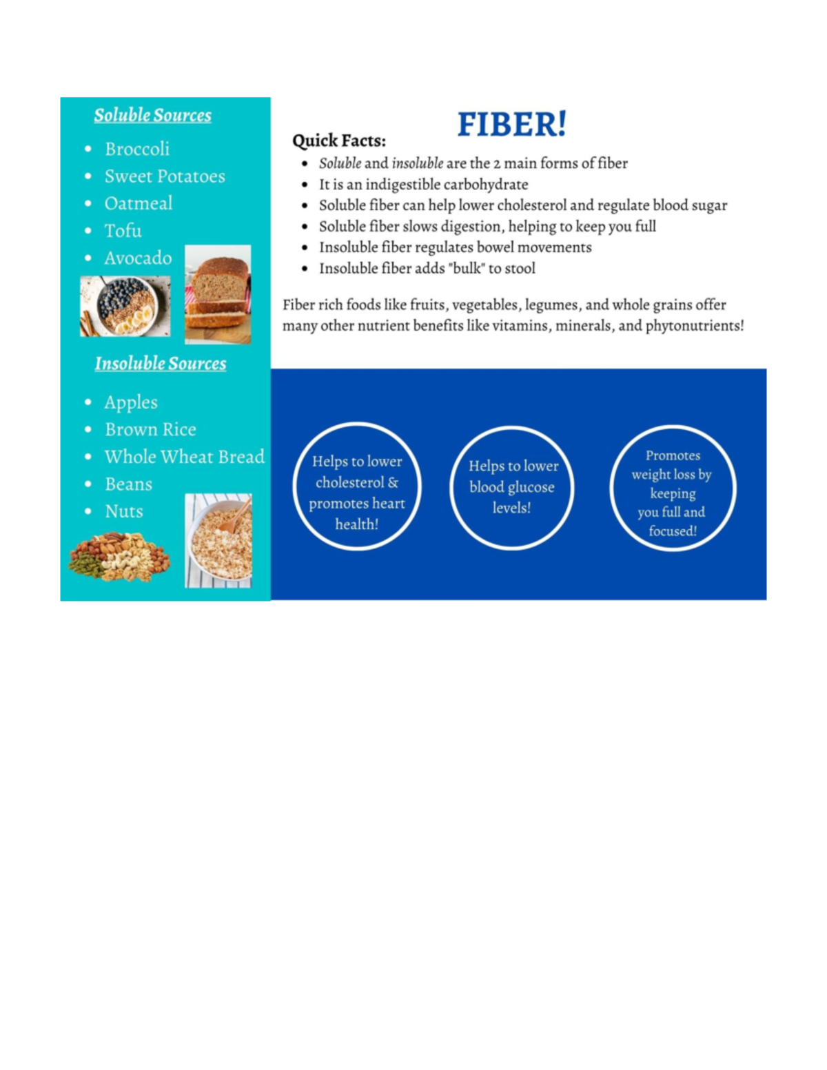 Fiber Handout for Final - Studocu
