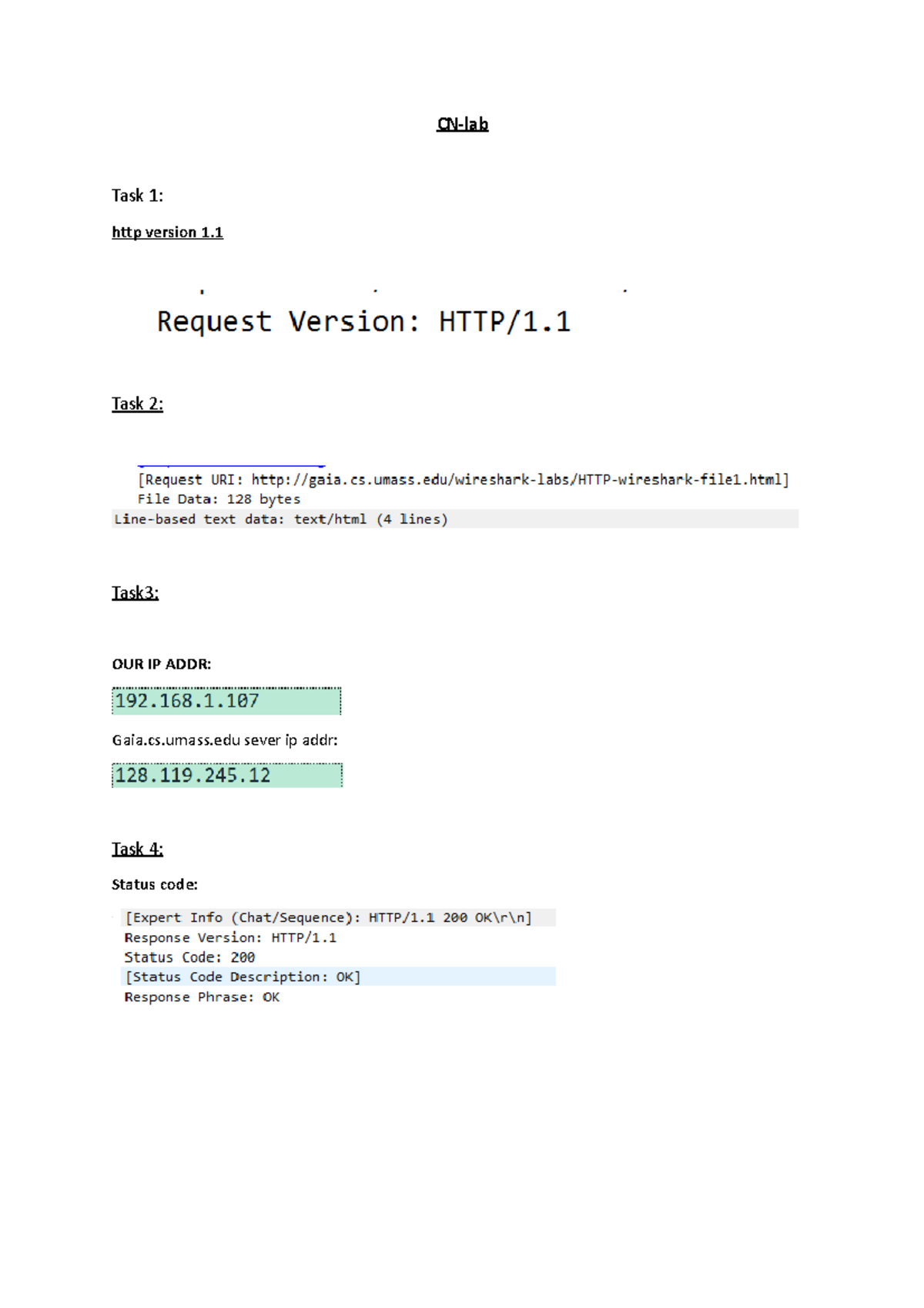 Cn Lab 1 Cn Lab Task 1 Version 1 Task 2 Task3 Our Ip Addr Gaiacsumass Sever Ip 