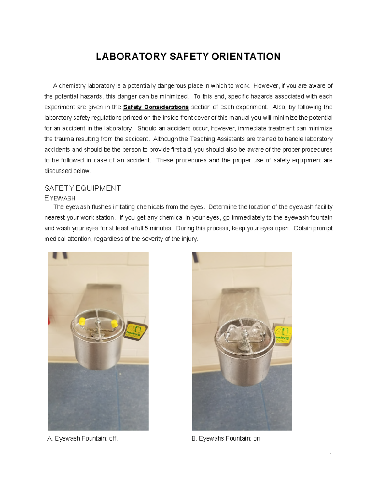Lab Safety Orientation copied from lab manual - LABORATORY SAFETY ...