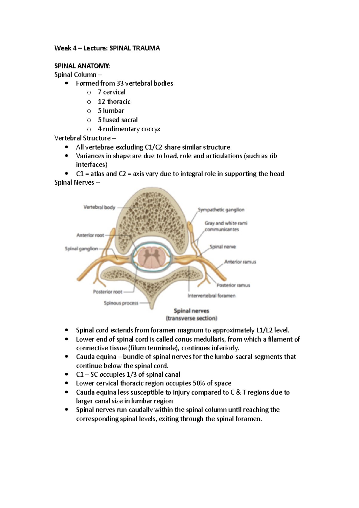 Week 4 – Lecture - Spinal Trauma - Week 4 – Lecture: SPINAL TRAUMA ...