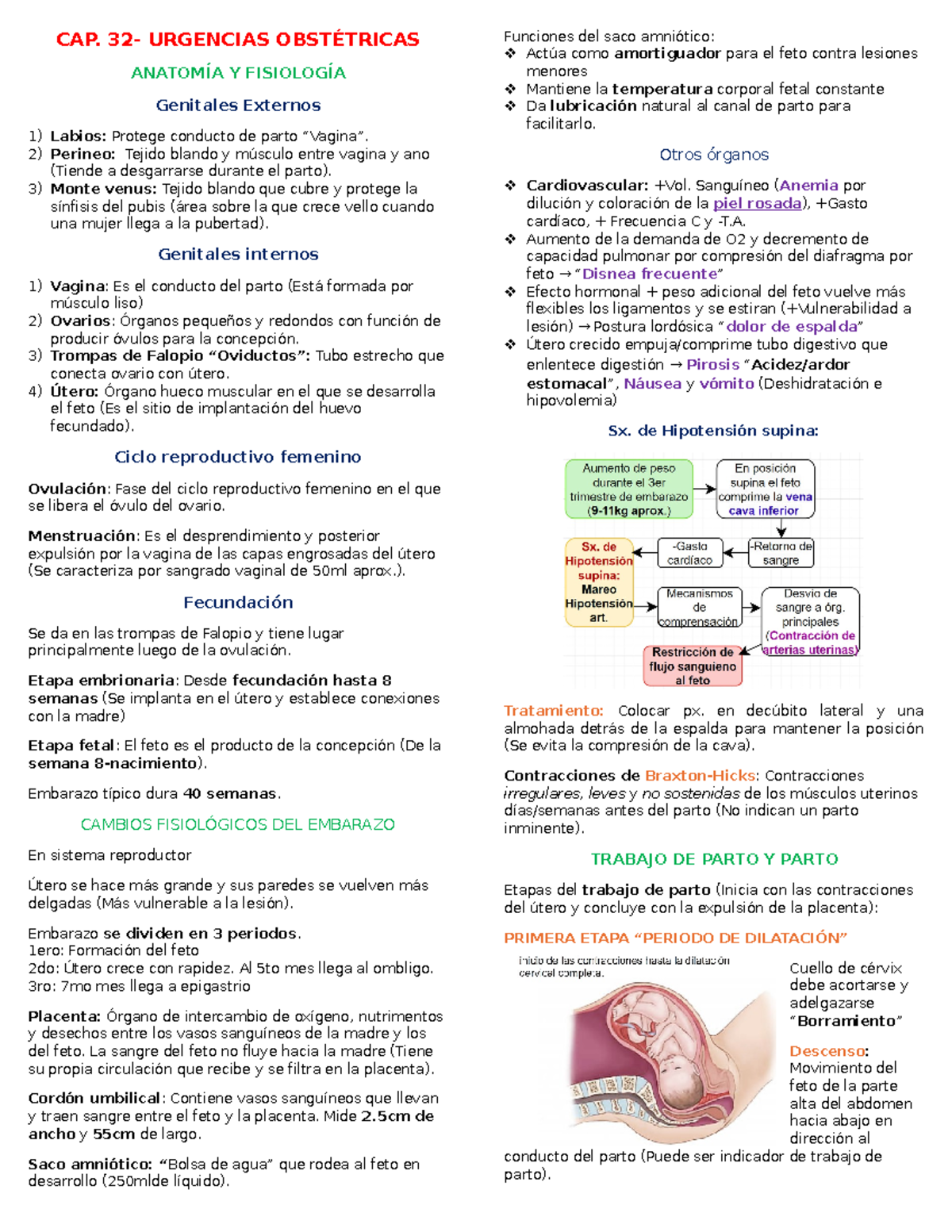 Apuntes TUM - Eua - CAP. 32- URGENCIAS OBSTÉTRICAS ANATOMÍA Y ...