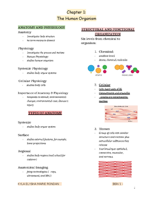 Anaphy LEC - Respiratory System - ANAPHY LEC - RESPIRATORY SYSTEM ...