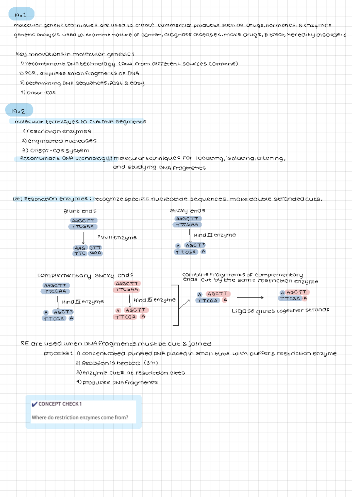 Chapter 19 - Comprehensive Ch 19 notes book and lecture - 190 I ...