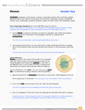 Meiosis Gizmo Key - vvvvvvvvvvvvv - Meiosis Answer Key Vocabulary ...