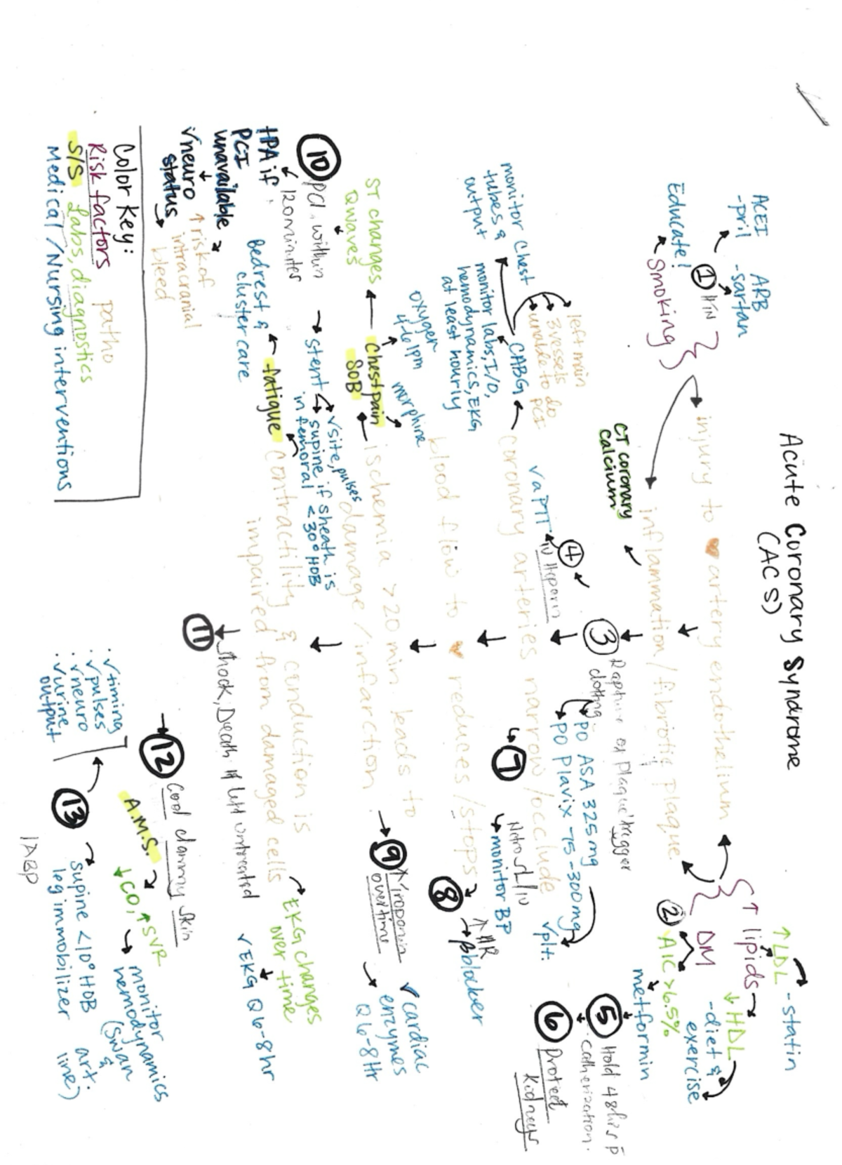 Disease process - Acute Coronary Syndrome ACEI ARB CAC S) LDL statin ...