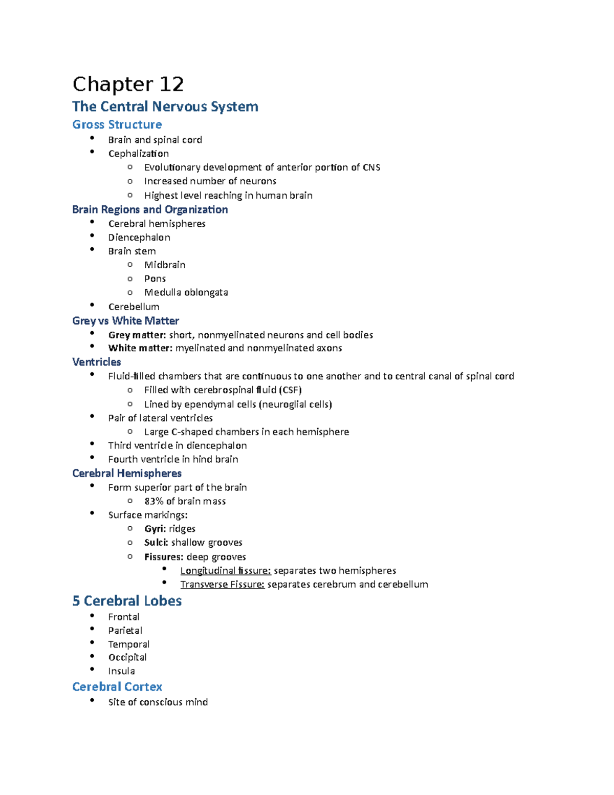 Chapter 12 Bio 208 - The central nervous system - Chapter 12 The ...
