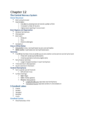 Chapter 13 Bio 208 - Peripheral nervous system - Chapter 13 Peripheral ...