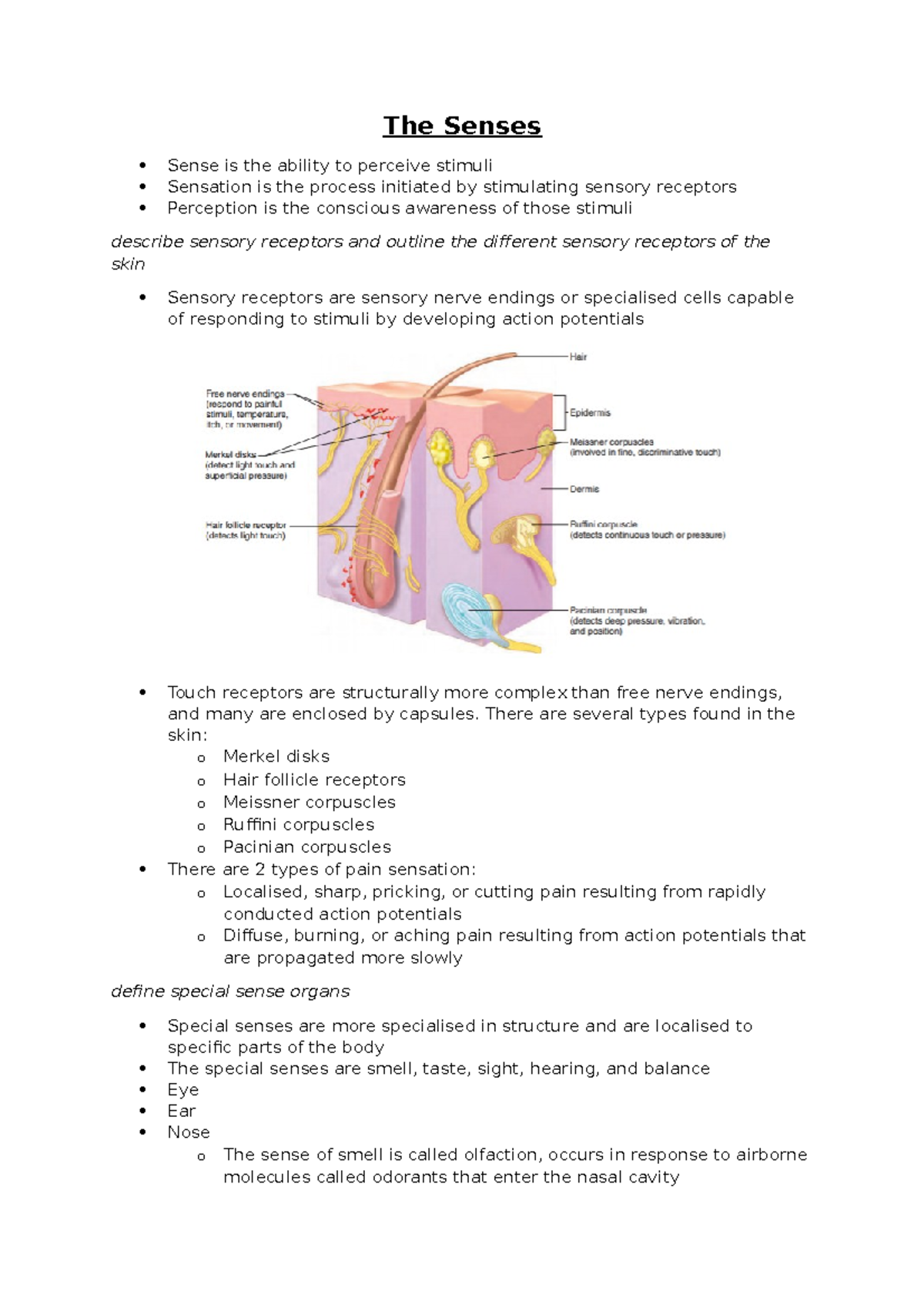 The Senses - There are several types found in the skin: o Merkel disks ...