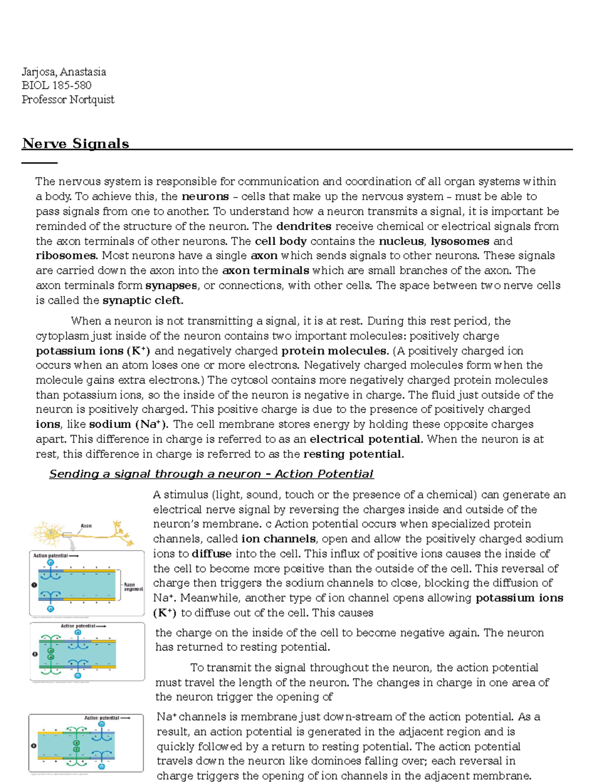BIO HW 3 - Prof. Nordiquist - Jarjosa, Anastasia BIOL 185- Professor ...