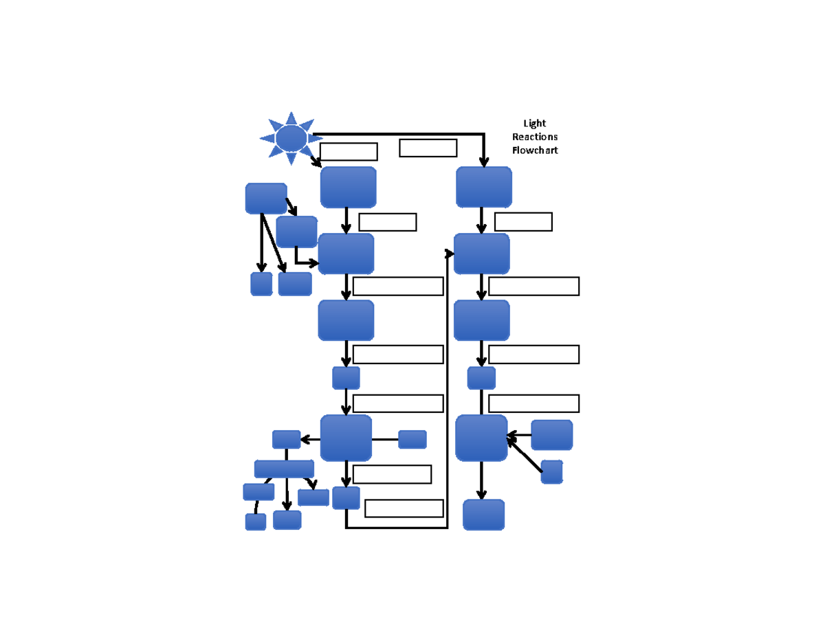 Light reaction template - Light Reactions Flowchart Use the following ...