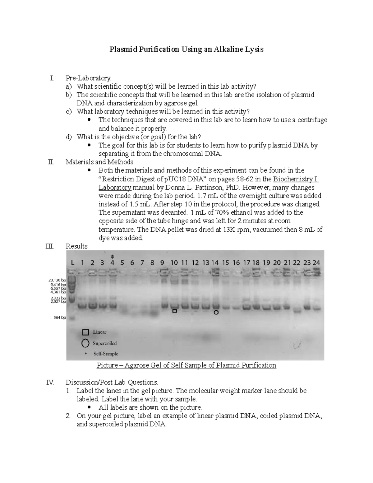 2 Plasmid Purification Using an Alkaline Lysis - Pre-Laboratory. a ...