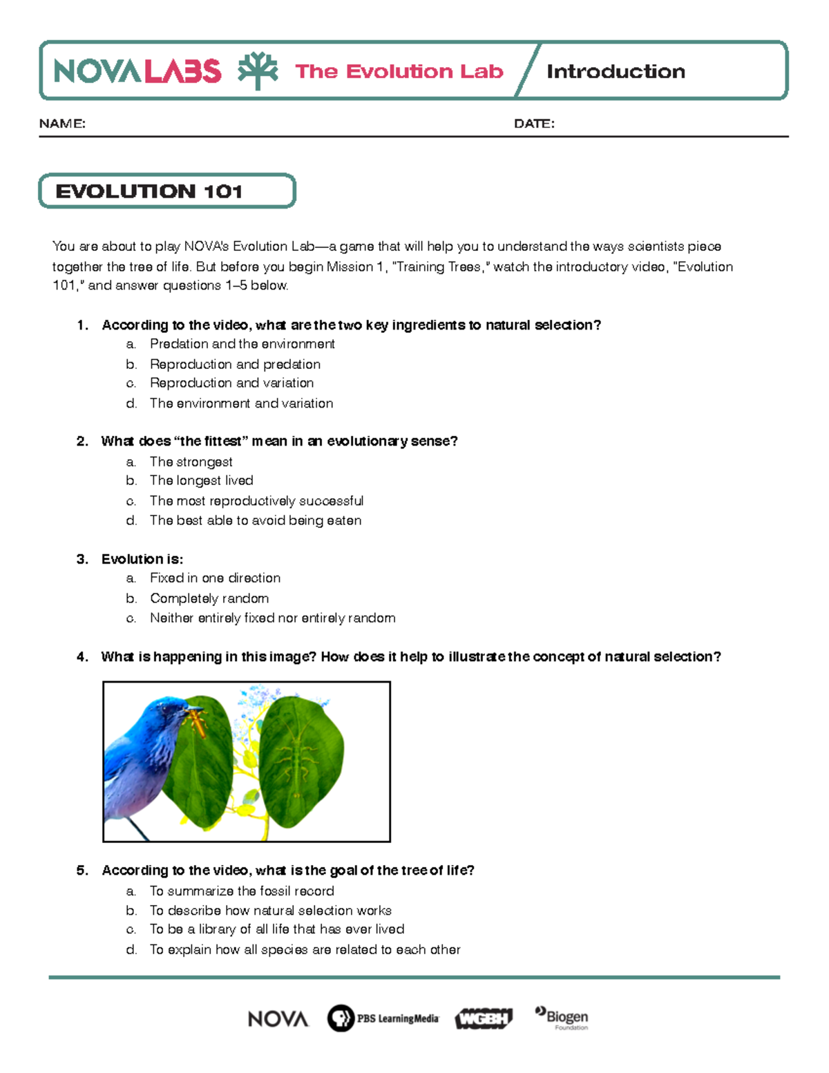 NOVA Evolution Lab Worksheets - The Evolution Lab Introduction ...