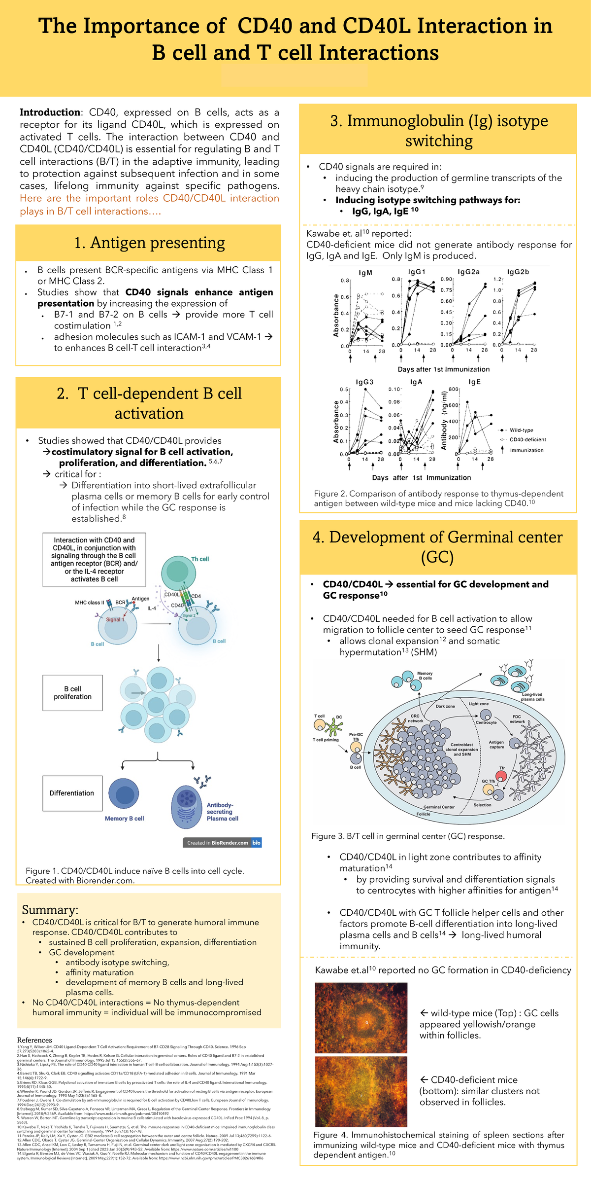 PBL2 poster:the importantce of CD40 and its ligand in T cell and b CELL ...