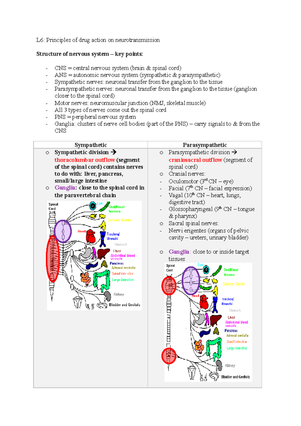Lecture 6: principles of drug action on neurotransmission - L6 ...